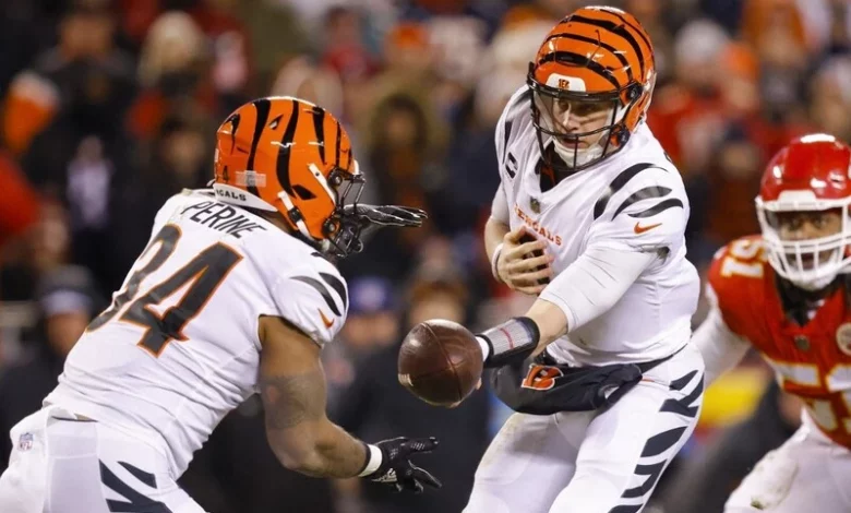 2023 Cincinnati Bengals Stats: Are They a Super Bowl Contender?